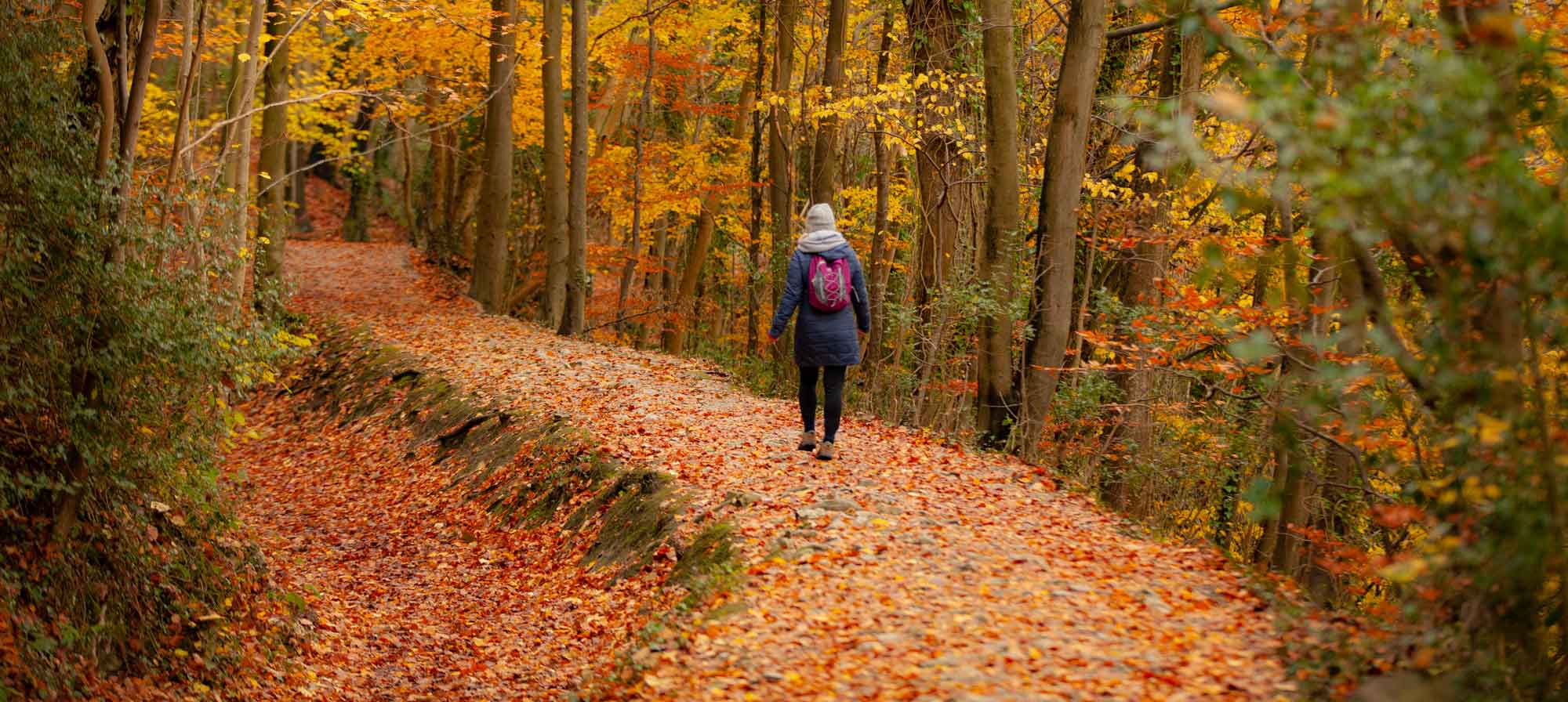 North Wales Pilgrim’s Way - Gogledd Ddwyrain Cymru - North East Wales