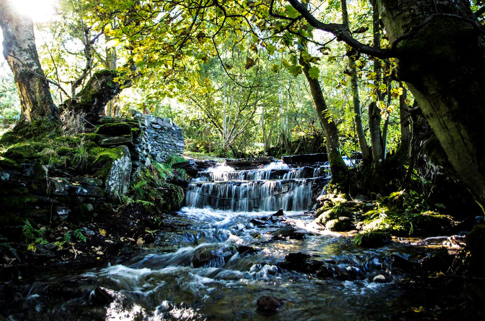 Ten Things to Do in the Dee Valley - Gogledd Ddwyrain Cymru - North ...