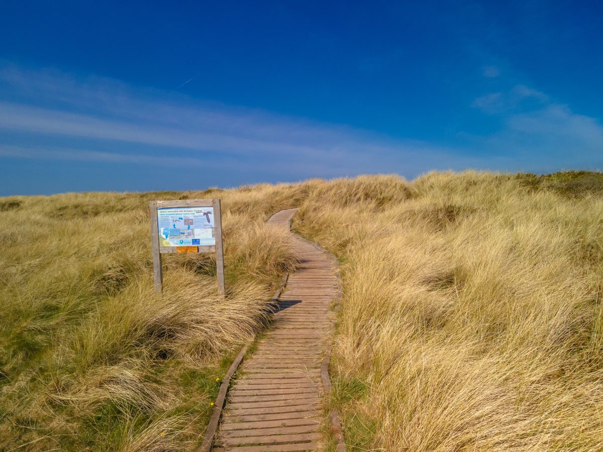 Trail ideas by the people who live and work here. No 4-thoughts of a ...