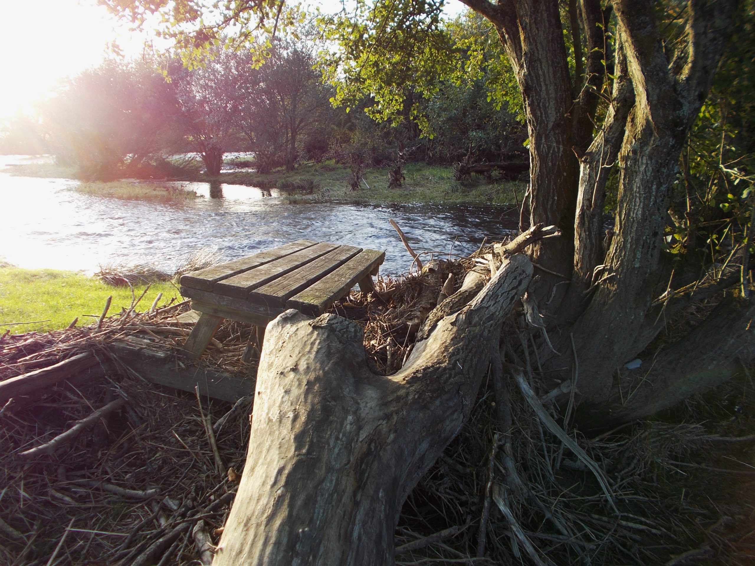 The River Runner Dyfrdwy Explorer; T3, Traws Cymru - Gogledd Ddwyrain ...