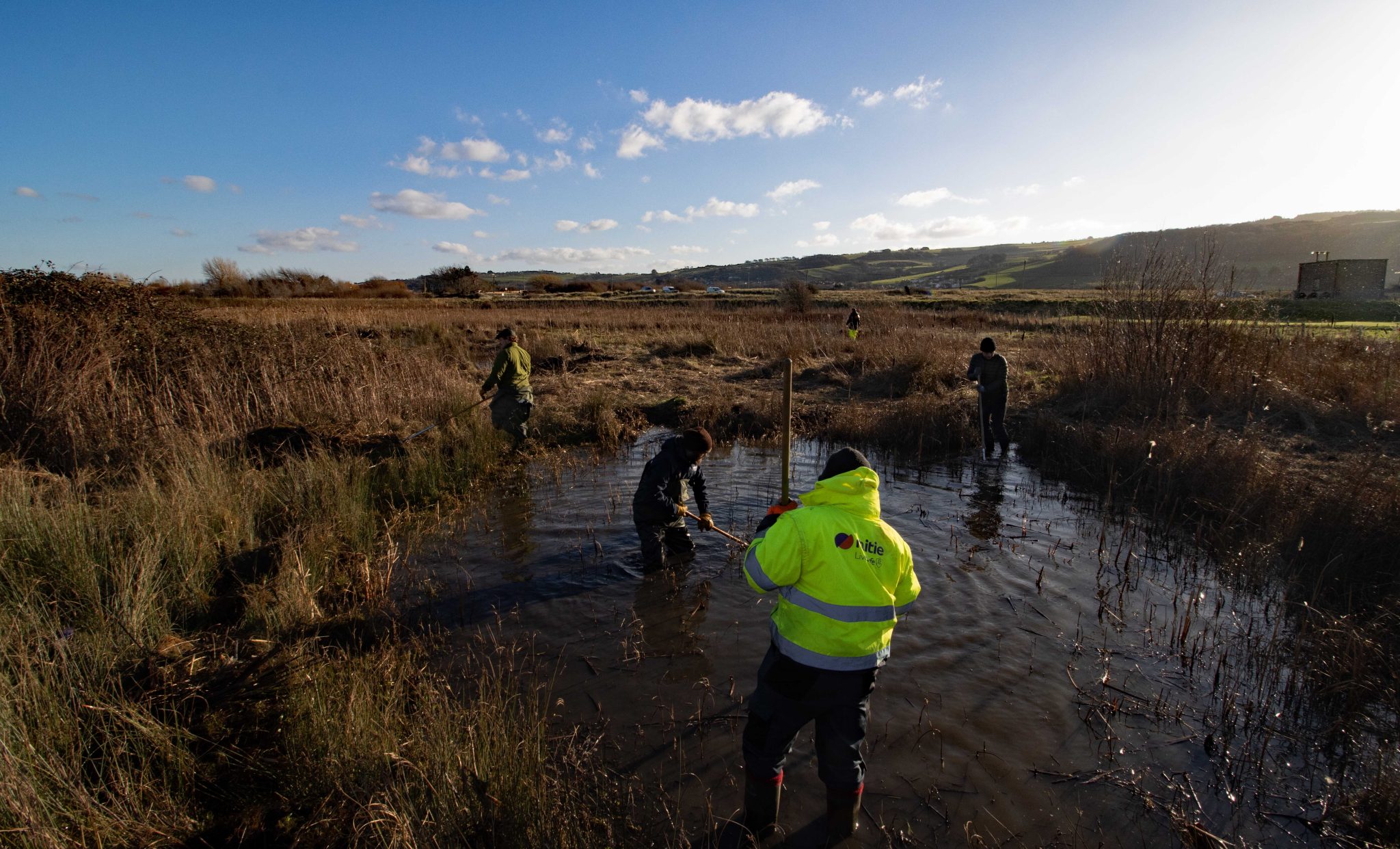 Ponds at Gronant Dunes prepared to support rarest amphibian in Wales ...